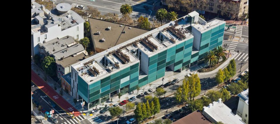 8 Octavia - DM Development