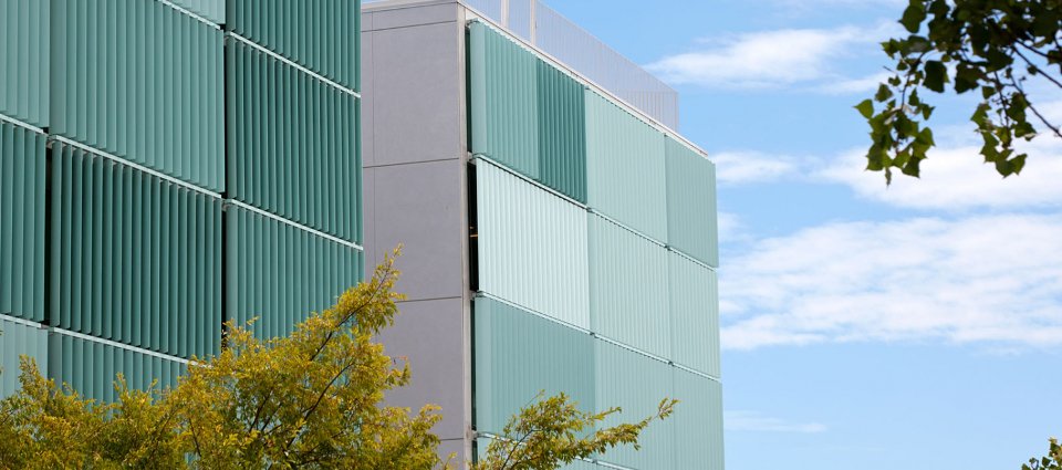 8 Octavia - DM Development