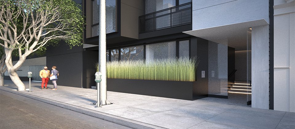 311 Grove - DM Development